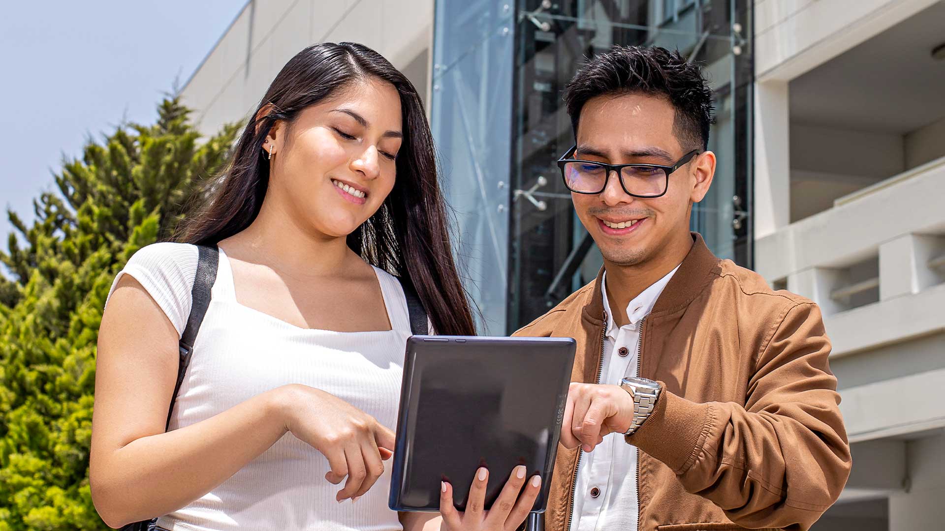 Diplomado en Diseño y Desarrollo web - Estudia en ISIL